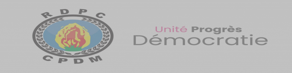 RDPC International – Mobilisés pour l'Emergence du Cameroun