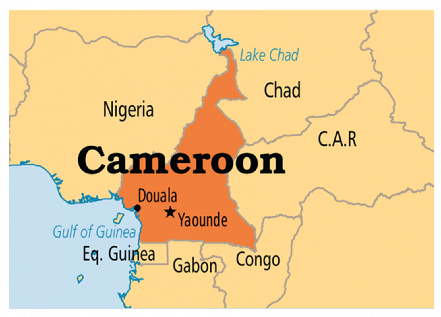 Institutionnel – RDPC International