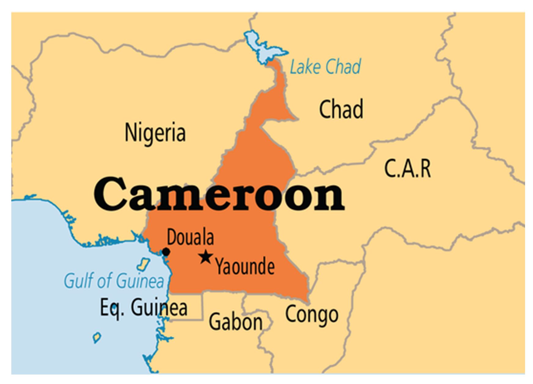 RDPC International – Mobilisés pour l'Emergence du Cameroun